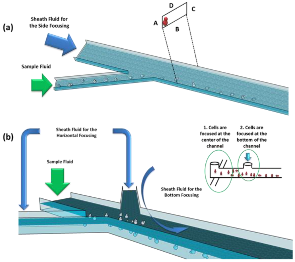 A Microfluidic Approach for Inducing Cell Rotation by Means of ...