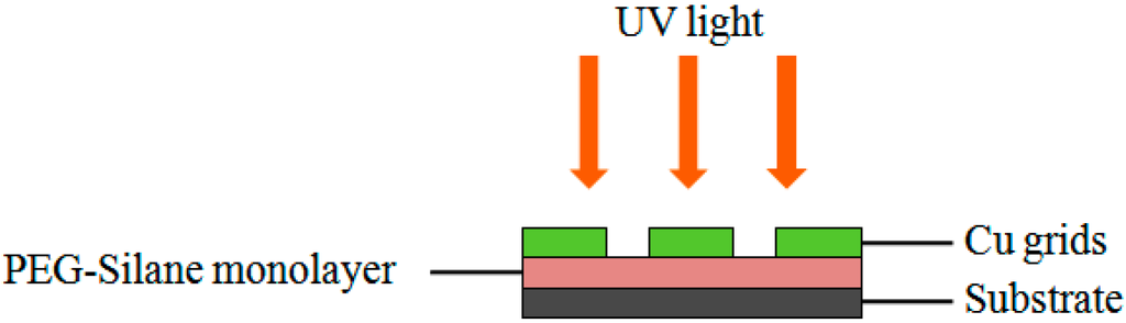 Patterned Array of Poly(ethylene glycol) Silane Monolayer for Label ...