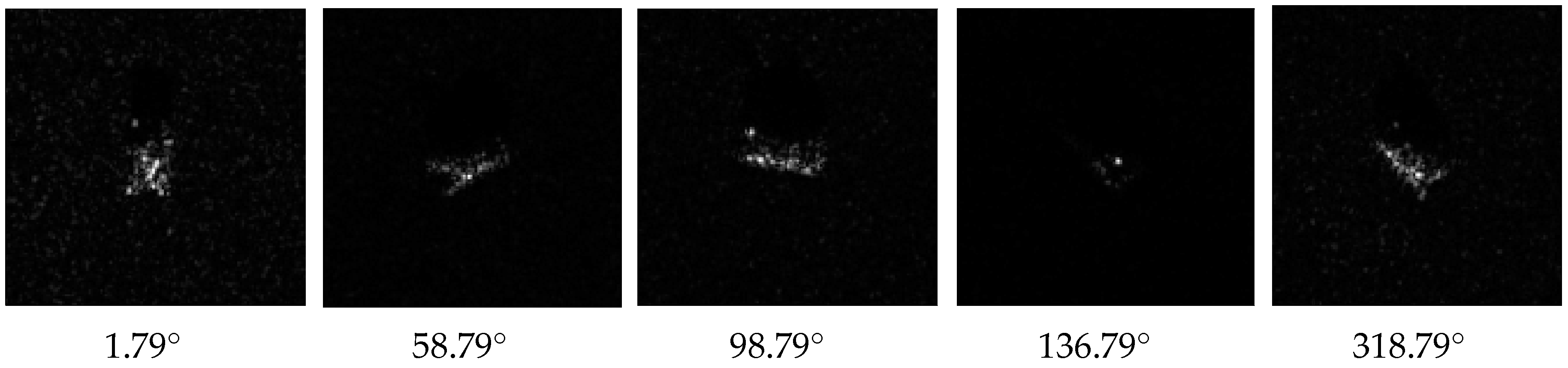 Aspect-Aided Dynamic Non-Negative Sparse Representation-Based Microwave Image Classification