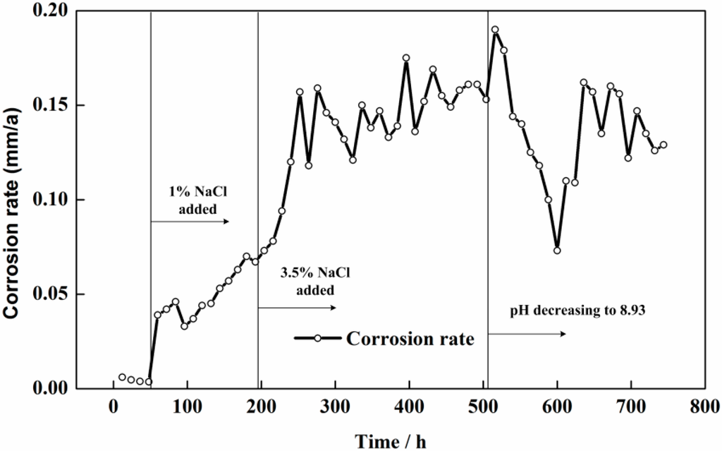 Experimental Study on Rebar Corrosion Using the Galvanic Sensor ...