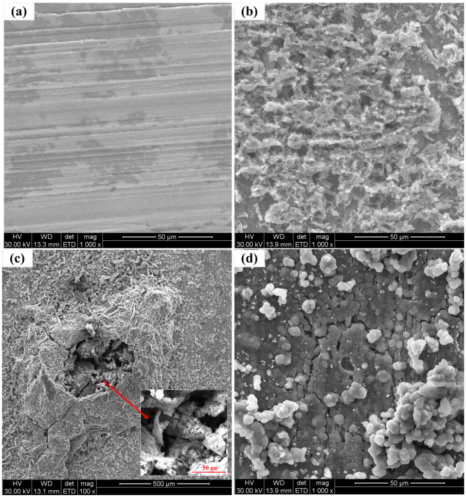 Experimental Study on Rebar Corrosion Using the Galvanic Sensor ...