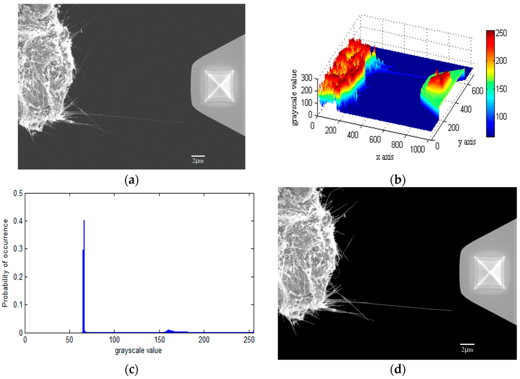 Sensors | Free Full-Text | Mechatronic Development and Vision Feedback ...