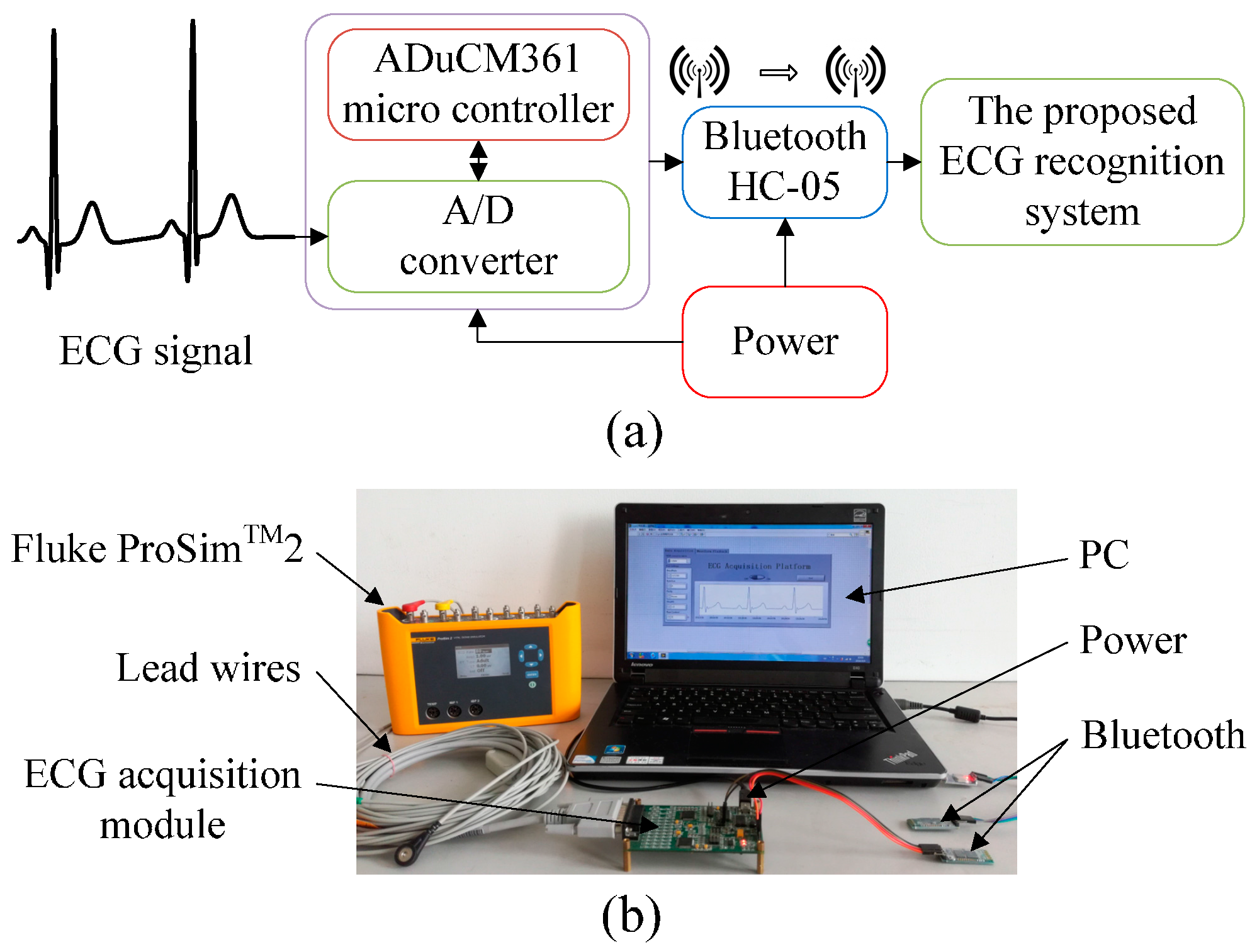 Sensors Free Full Text Arrhythmia Classification Based On Multi Domain Feature Extraction