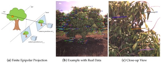 Sensors | Free Full-Text | Image Based Mango Fruit Detection ...