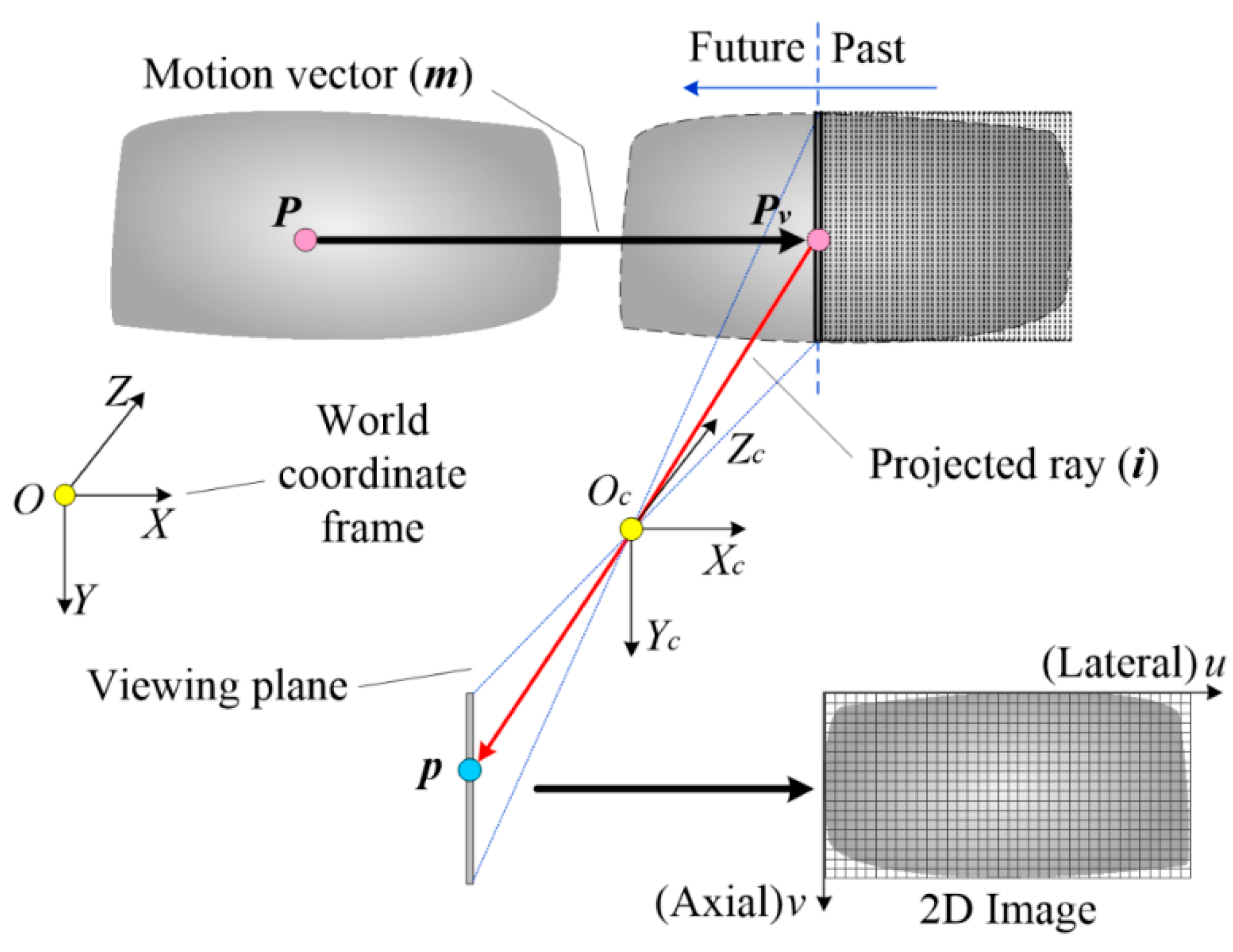 Sensor for In-Motion Continuous 3D Shape Measurement Based on Dual Line ...