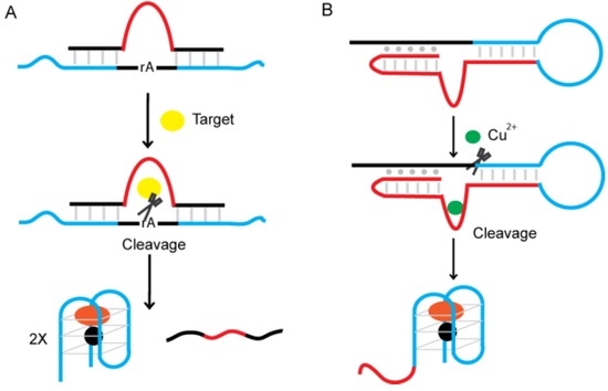Sensors | Free Full-Text | Integrating Deoxyribozymes into Colorimetric ...