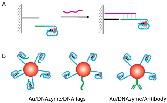Integrating Deoxyribozymes into Colorimetric Sensing Platforms