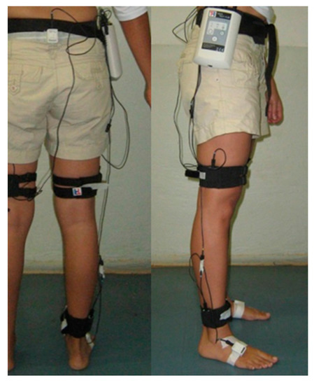 An IMU-to-Body Alignment Method Applied to Human Gait Analysis