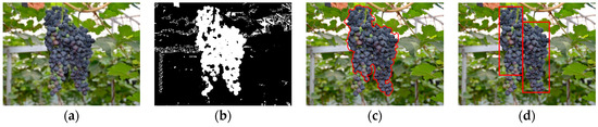 Sensors | Free Full-Text | Robust Grape Cluster Detection in a Vineyard by Combining the ...