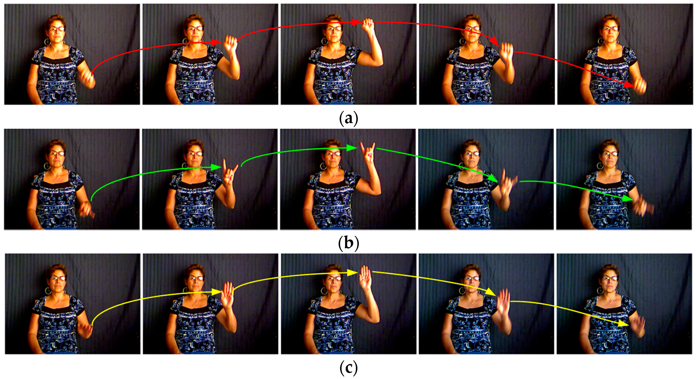 Sensors | Free Full-Text | Adaptive Local Spatiotemporal Features from ...