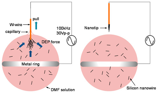 Sensors | Free Full-Text | Nanostructured Tip-Shaped Biosensors ...