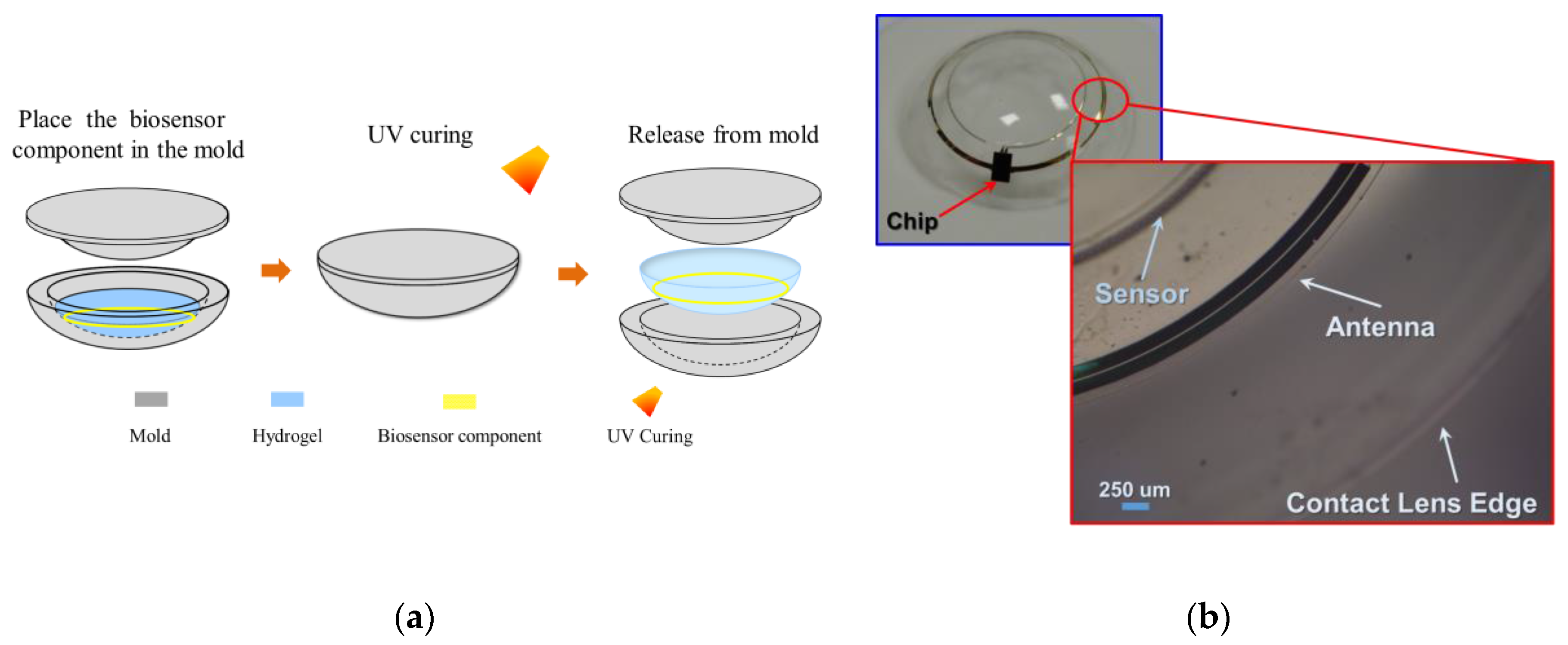 A Wirelessly Powered Smart Contact Lens with Reconfigurable Wide Range ...