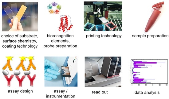 Sensors | Free Full-Text | Analytical Protein Microarrays: Advancements Towards Clinical ...
