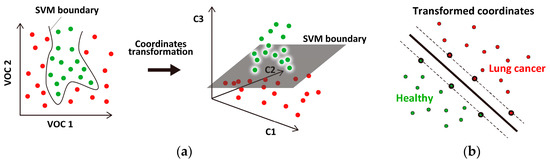 Diagnosis by Volatile Organic Compounds in Exhaled Breath from Lung ...