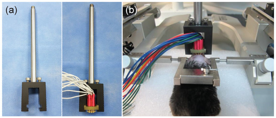 Development and Experimental Validation of a Dry Non-Invasive Multi ...