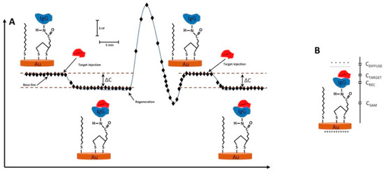 Capacitive Biosensors and Molecularly Imprinted Electrodes