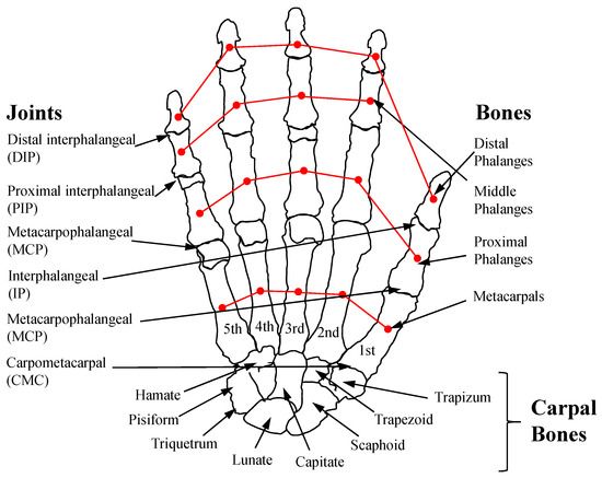 A Soft Sensor-Based Three-Dimensional (3-D) Finger Motion Measurement ...