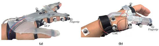 Sensors | Free Full-Text | A Soft Sensor-Based Three-Dimensional (3-D) Finger Motion Measurement ...