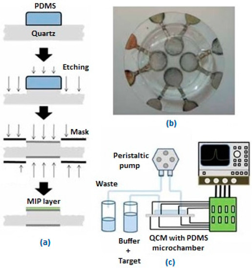 Molecular Imprinting Technology in Quartz Crystal Microbalance (QCM ...
