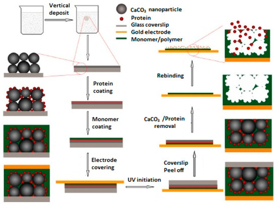 Molecular Imprinting Technology in Quartz Crystal Microbalance (QCM ...