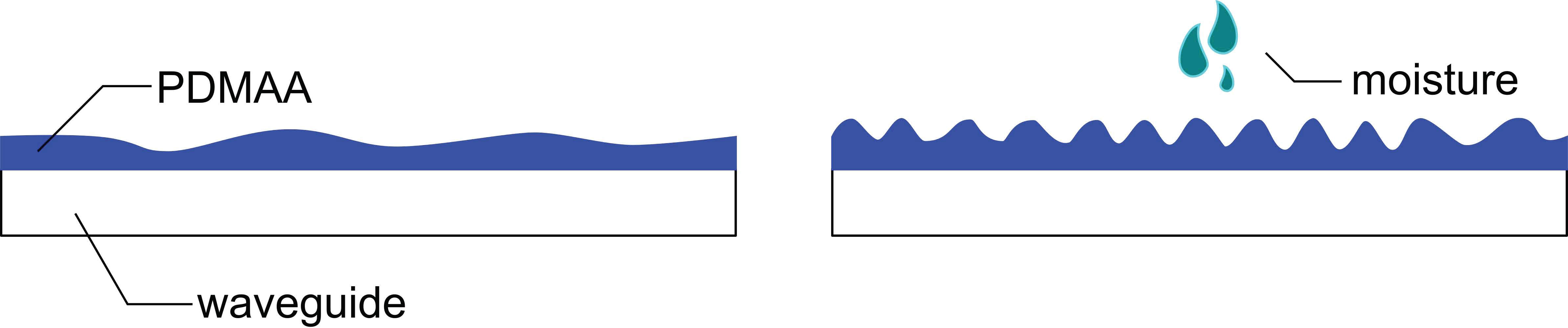 PDMAA Hydrogel Coated U-Bend Humidity Sensor Suited for Mass-Production
