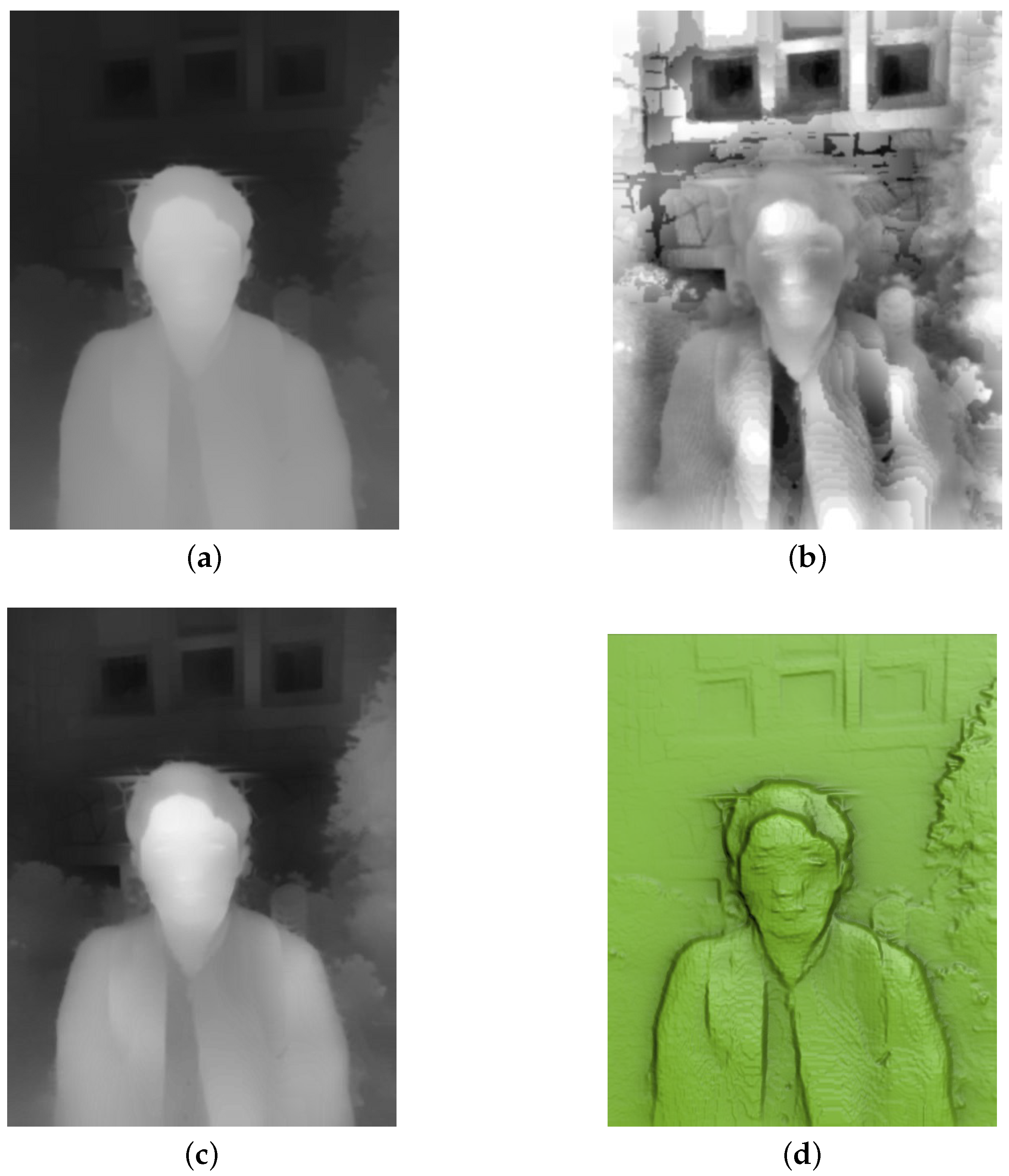 Ubiquitous Creation of Bas-Relief Surfaces with Depth-of-Field Effects ...