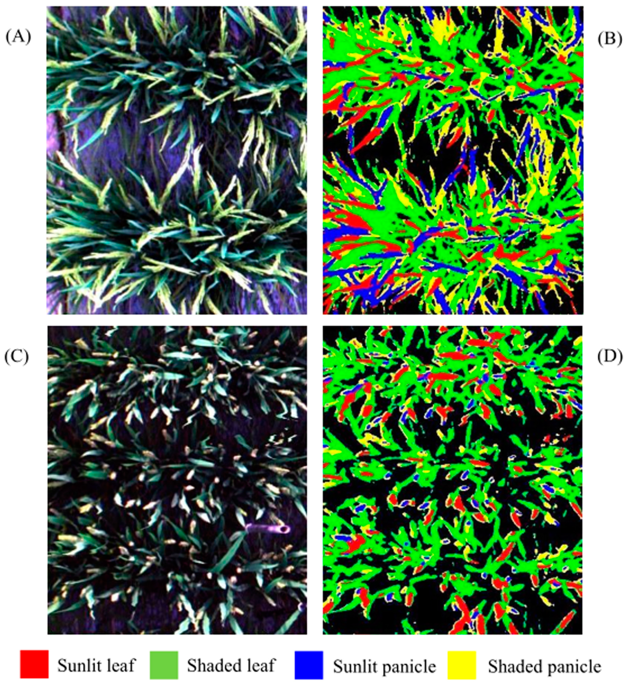 Sensors | Free Full-Text | Assessing the Spectral Properties of Sunlit ...