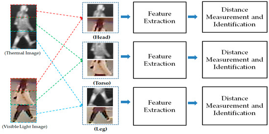 Person Recognition System Based on a Combination of Body Images from ...