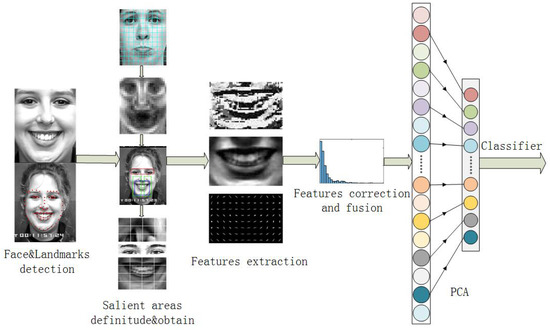 Sensors | Free Full-Text | Facial Expression Recognition with Fusion Features Extracted from ...