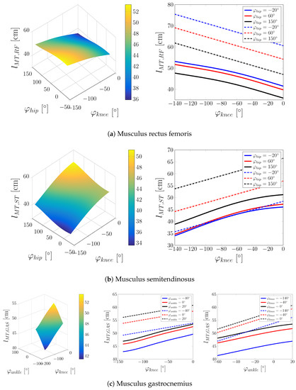 Model-Based Estimation of Ankle Joint Stiffness