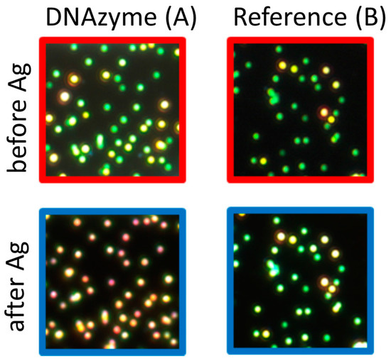 A New Strategy for Silver Deposition on Au Nanoparticles with the Use ...