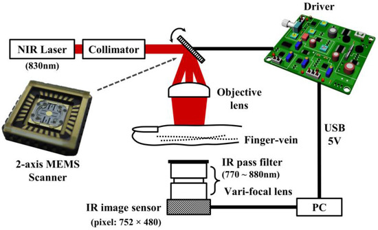 Imaging of the Finger Vein and Blood Flow for Anti-Spoofing ...
