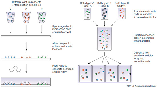 Cell Microarray Technologies for High-Throughput Cell-Based Biosensors