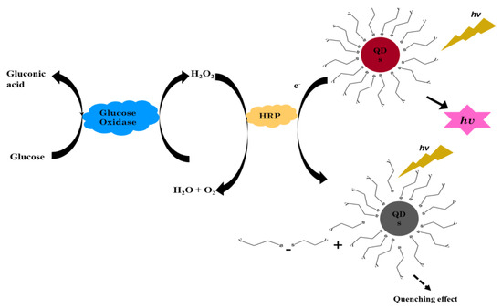 Thiolate-Capped CdSe/ZnS Core-Shell Quantum Dots for the Sensitive ...