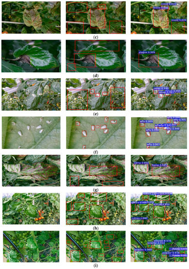 A Robust Deep-Learning-Based Detector for Real-Time Tomato Plant ...
