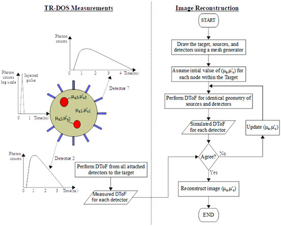 Sensors | Free Full-Text | Time-Resolved Diffuse Optical Spectroscopy and Imaging Using Solid ...