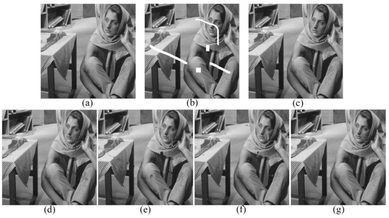 A Sparse Dictionary Learning-Based Adaptive Patch Inpainting Method for Thick Clouds Removal ...