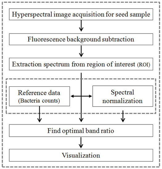 Raman Hyperspectral Imaging for Detection of Watermelon Seeds Infected ...