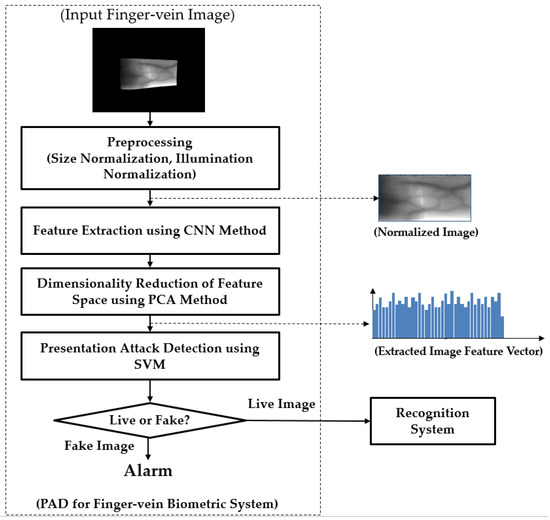 Sensors | Free Full-Text | Spoof Detection for Finger-Vein Recognition System Using NIR Camera