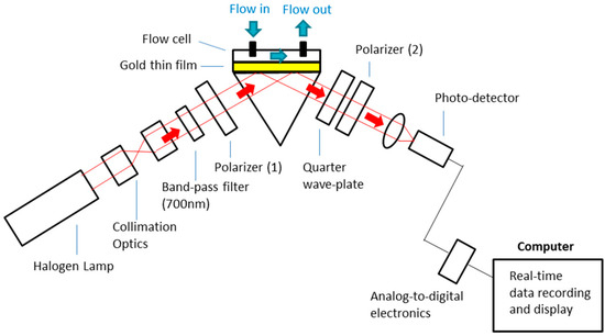 A Phase-Intensity Surface Plasmon Resonance Biosensor for Avian Influenza A (H5N1) Detection