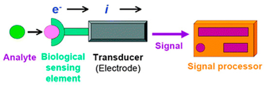 Disease-Related Detection with Electrochemical Biosensors: A Review
