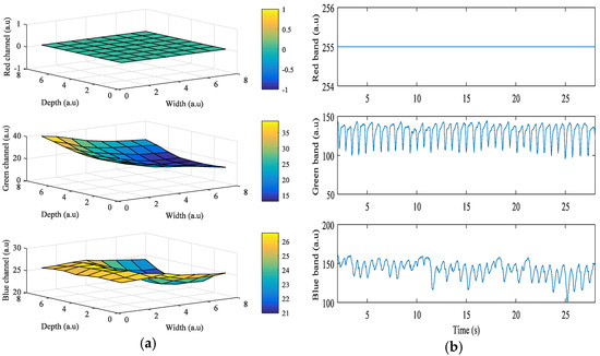 Photoplethysmography Signal Analysis for Optimal Region-of-Interest ...