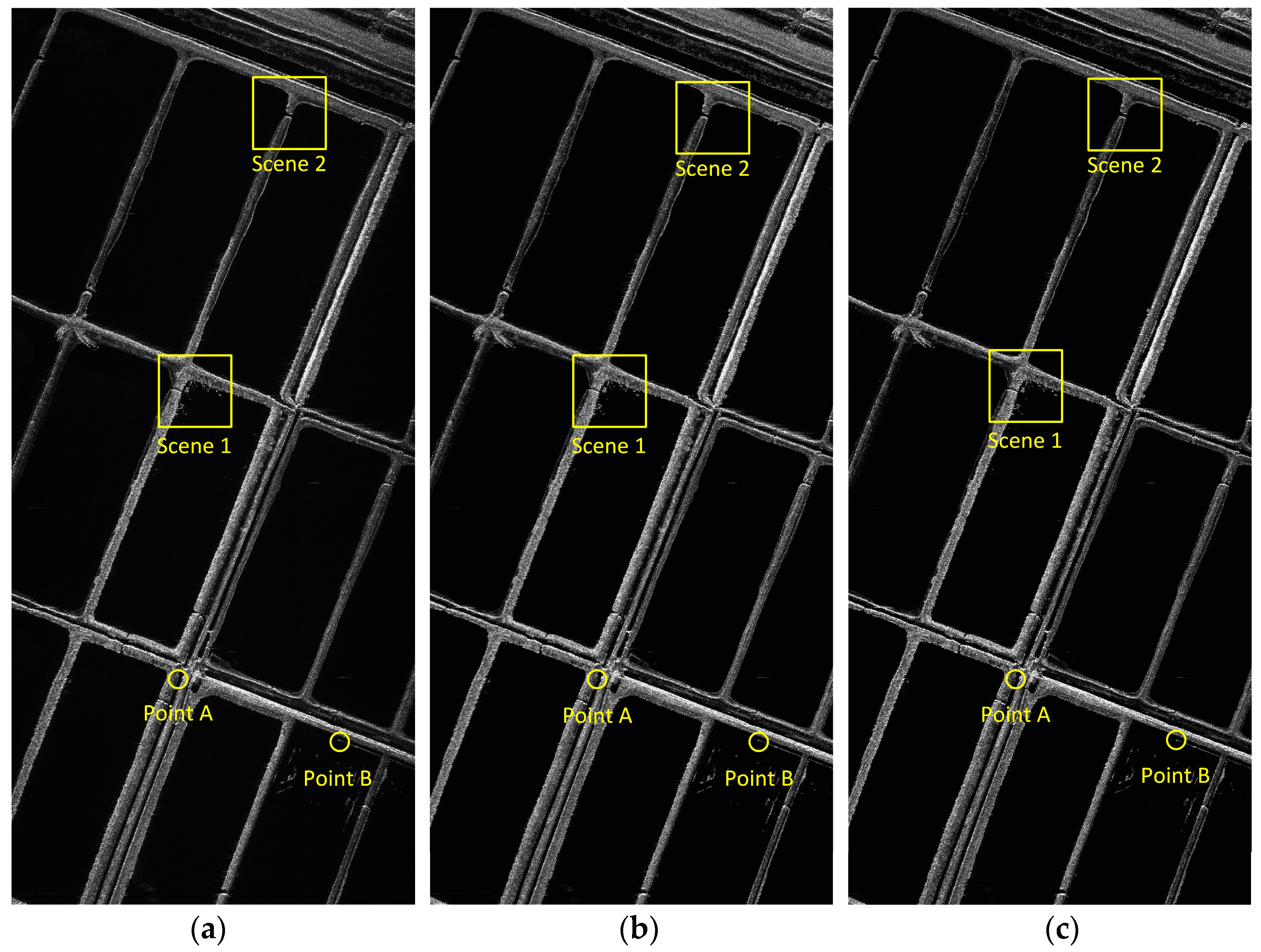 Precise Aperture-Dependent Motion Compensation with Frequency Domain Fast Back-Projection Algorithm