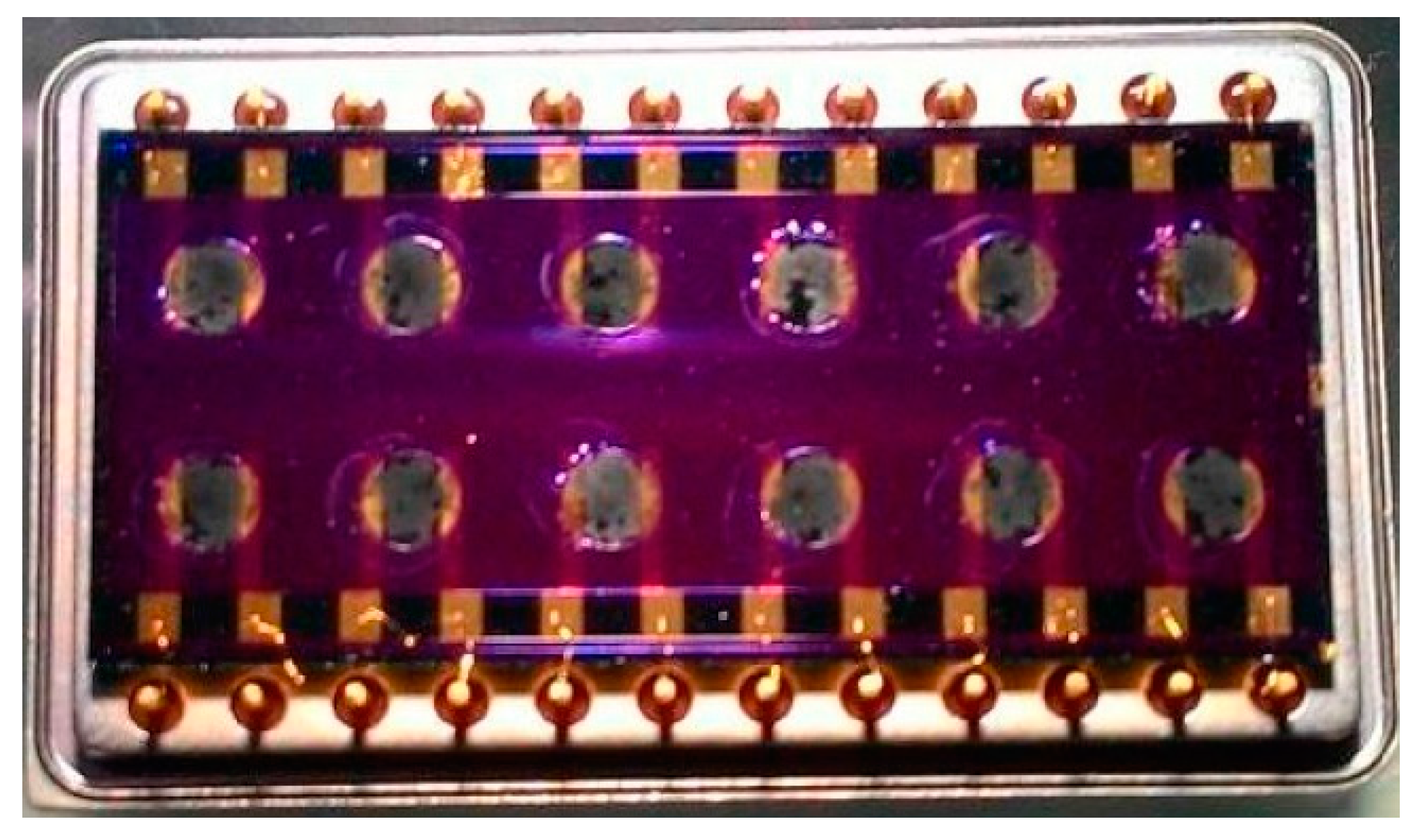 Sensors | Free Full-Text | An Investigation into Spike-Based ...