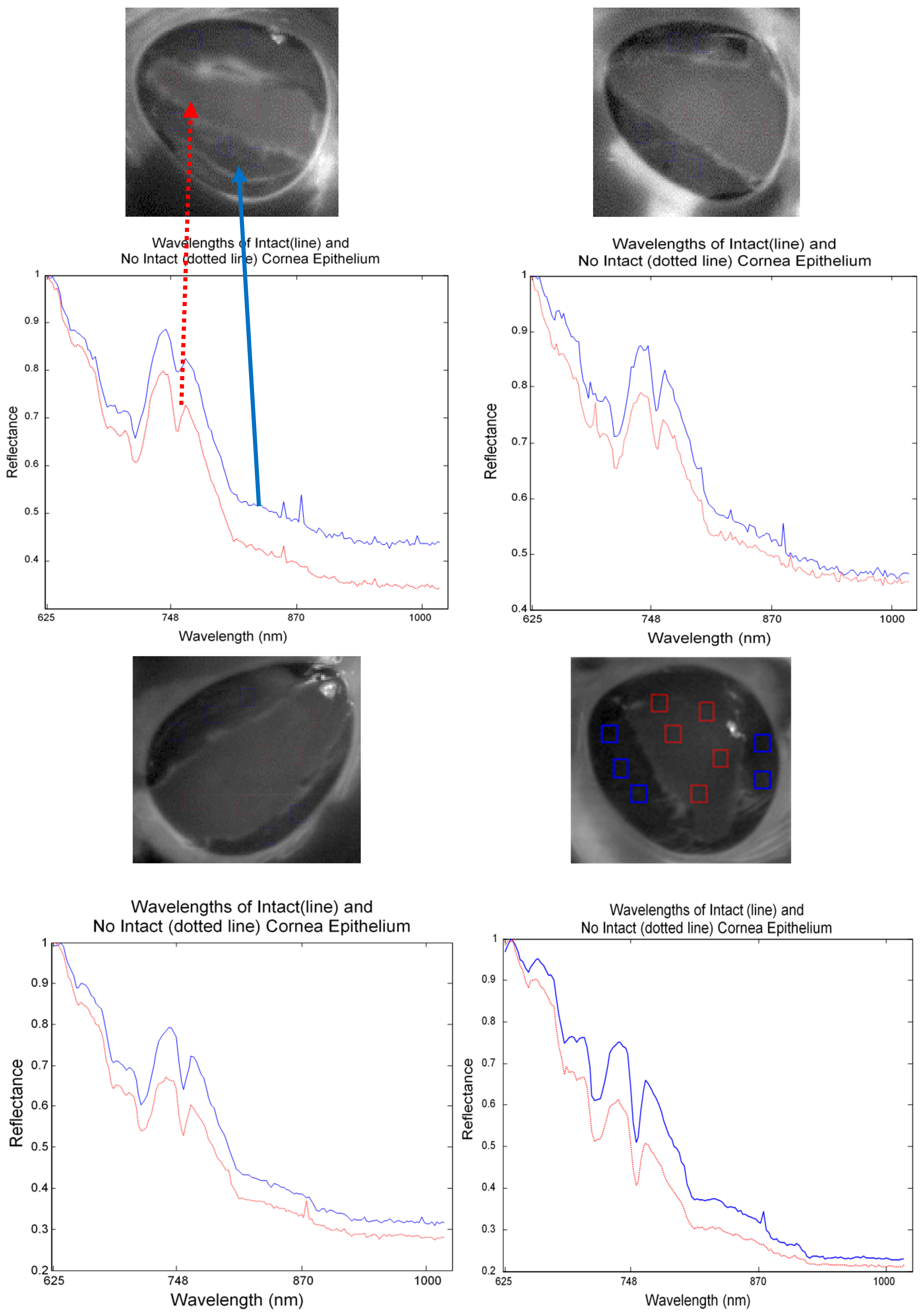 Hyperspectral Image Enhancement and Mixture Deep-Learning ...