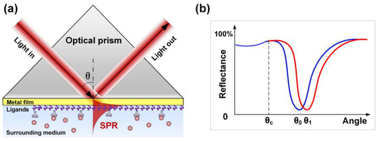 Plasmonic Optical Fiber-Grating Immunosensing: A Review