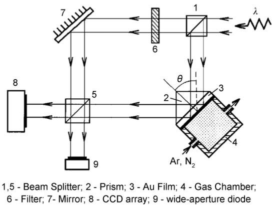 Phase-Sensitive Surface Plasmon Resonance Sensors: Recent Progress and ...
