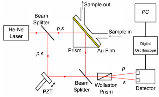 Phase-Sensitive Surface Plasmon Resonance Sensors: Recent Progress and ...