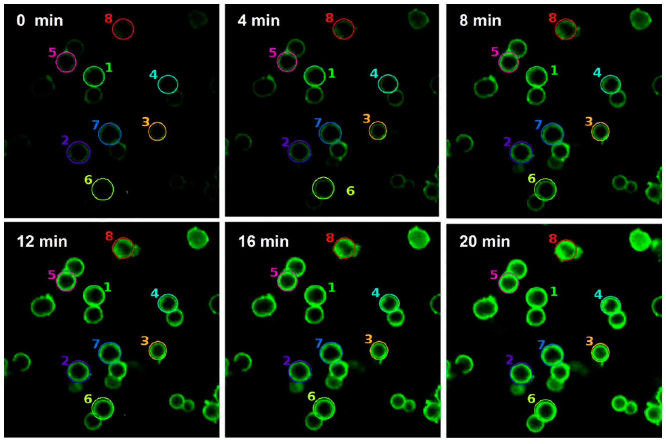 Sensors | Free Full-Text | Luminescence-Based Optical Sensors ...