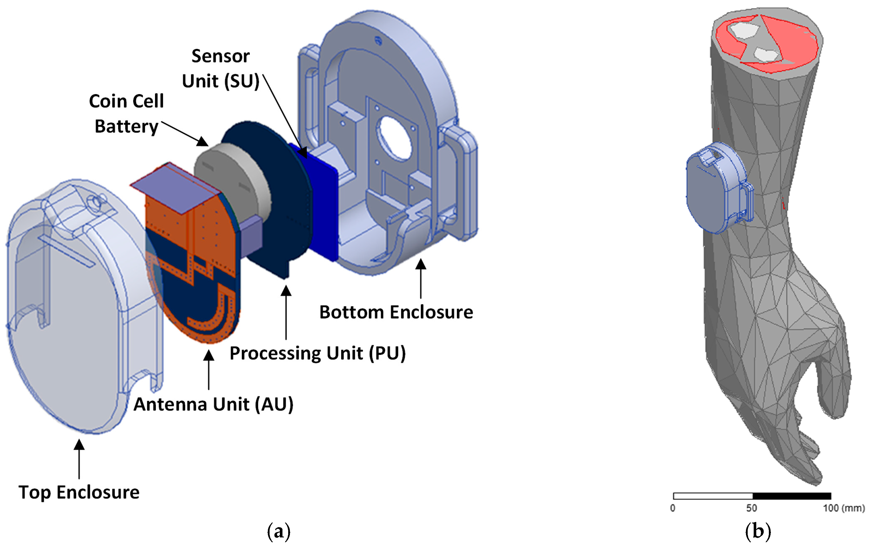 Potential of Sub-GHz Wireless for Future IoT Wearables and Design of ...